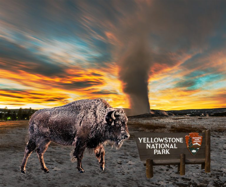 Old Faithful Geyser Sticker Magnet Yellowstone National Park