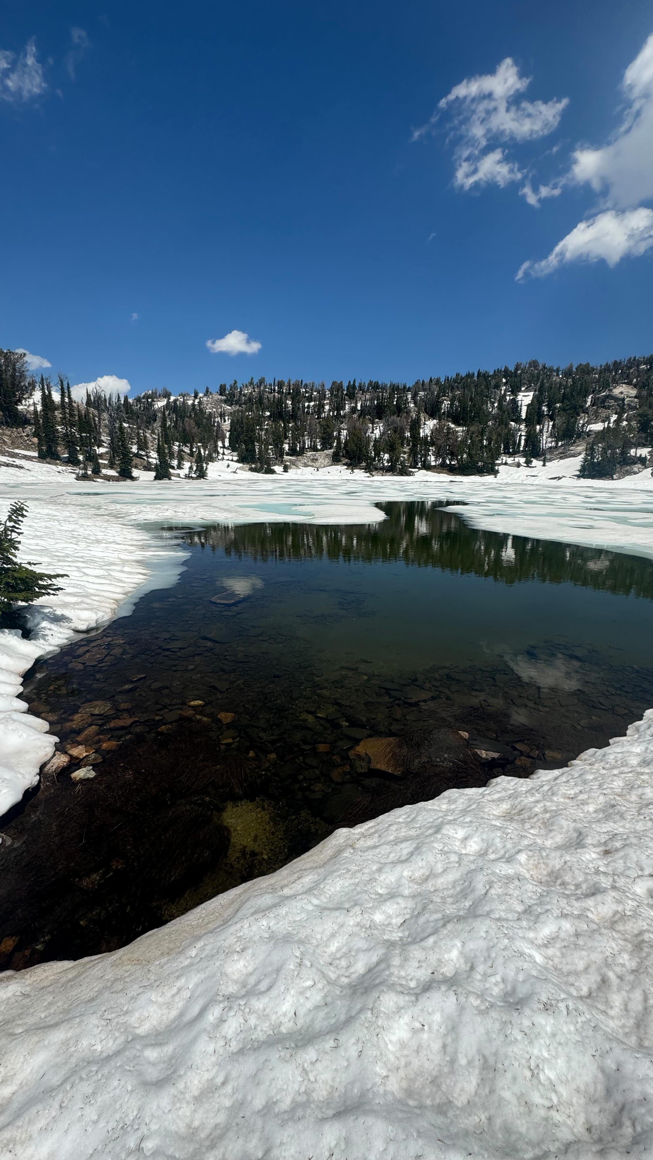 Northern Lights above the T.A. Moulton Barn Photograph - Jeff Bernhard ...